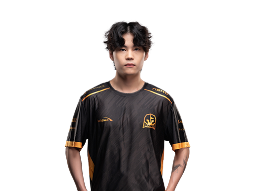 fireopen 游戏参数网,CS2游戏设置,PUBG游戏设置,VALORANT游戏设置,APEX游戏设置